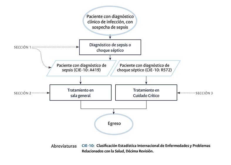 Diagrama De Fisiopatología De La Sepsis